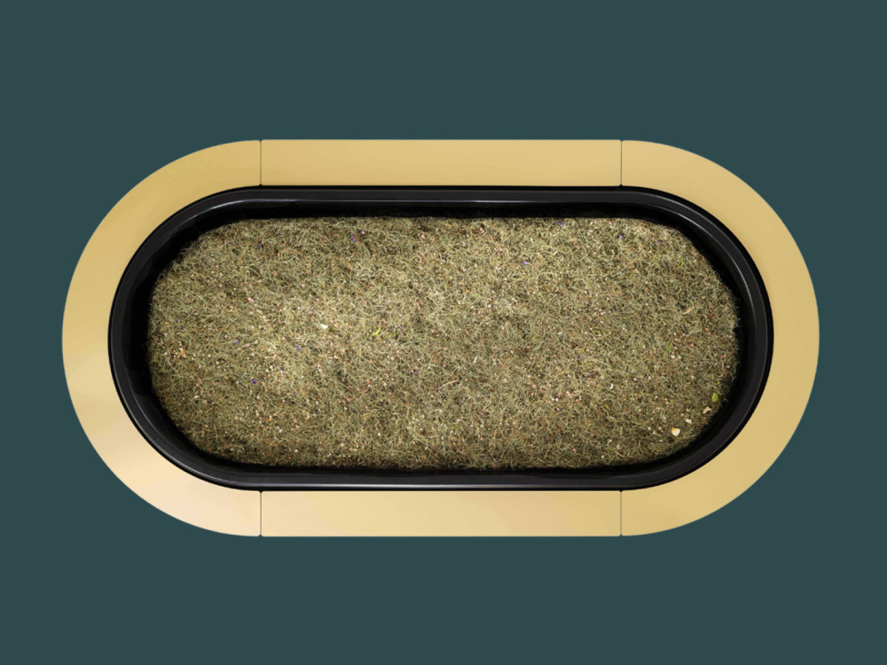 Reerdigung im Trauerfall: Ablauf und Abschiednahme | MEINE ERDE