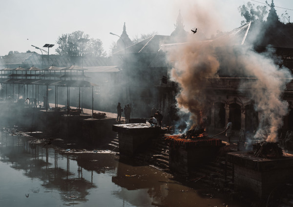 Reerdigung: eine Bestattung im Kreislauf der Natur | MEINE ERDE