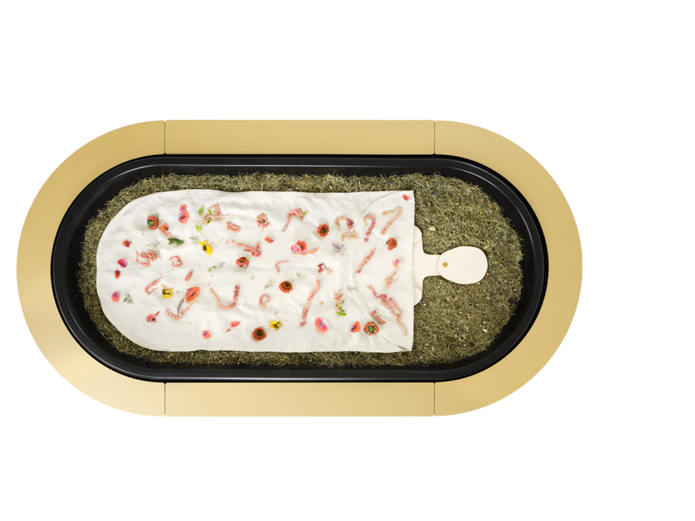 Reerdigung im Trauerfall: Ablauf und Abschiednahme | MEINE ERDE